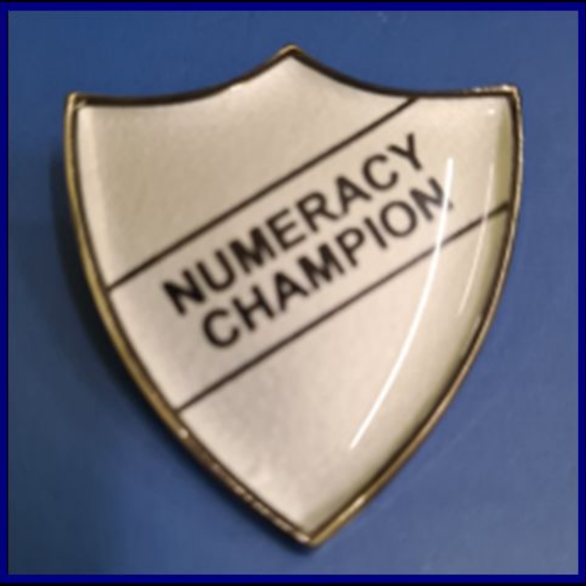 Hazelwick School - Item Not Available